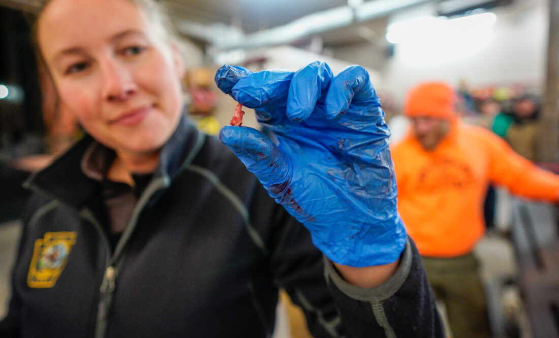 Bear necessities: bear hunting season underway | News, Sports, Jobs ...